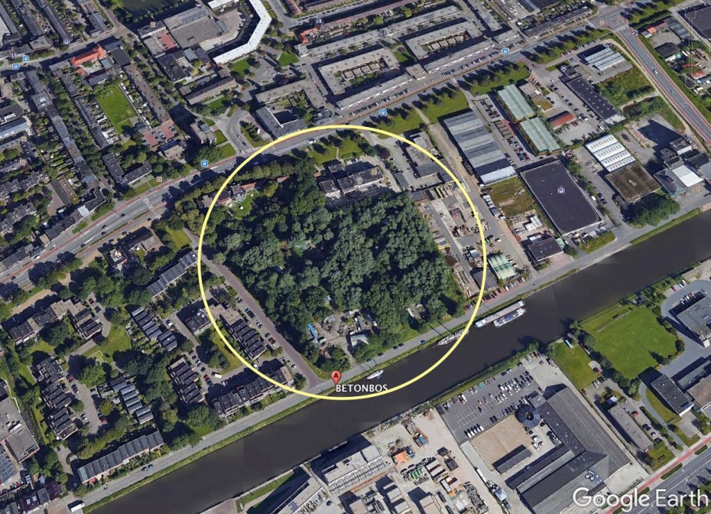 De gemeente wil meer mini-bosjes (‘tiny forests’), maar kapt wat er al ...